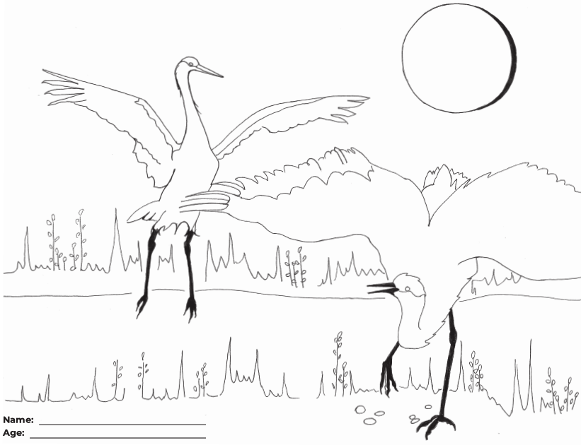 Kids crane coloring contest still accepting submissions ...